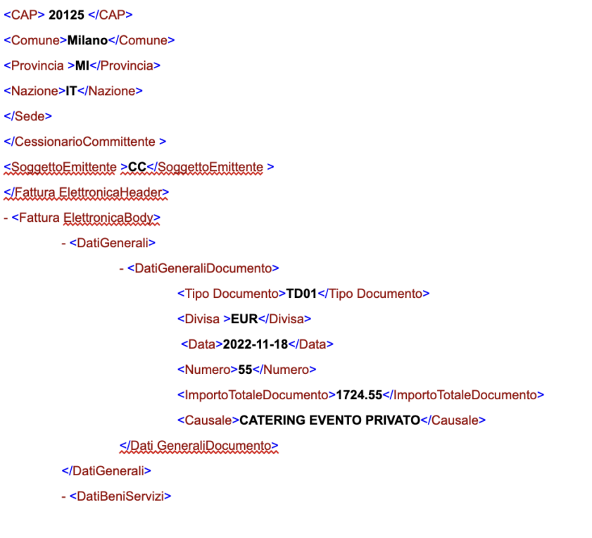 Formato XML per FATTURE elettroniche: cos'è e come funziona?